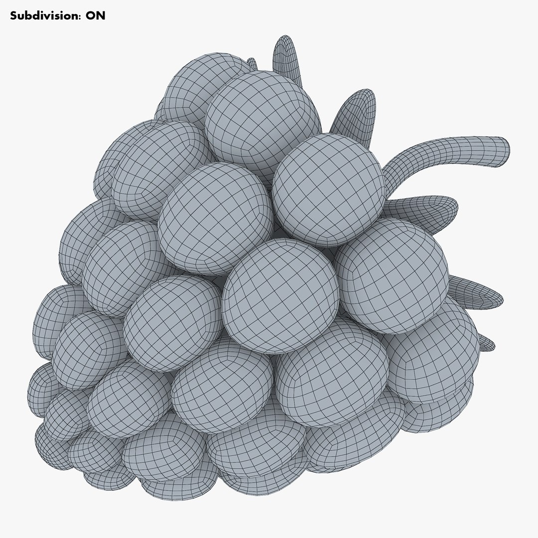 3D Cartoon Raspberry V 2 - TurboSquid 1617437