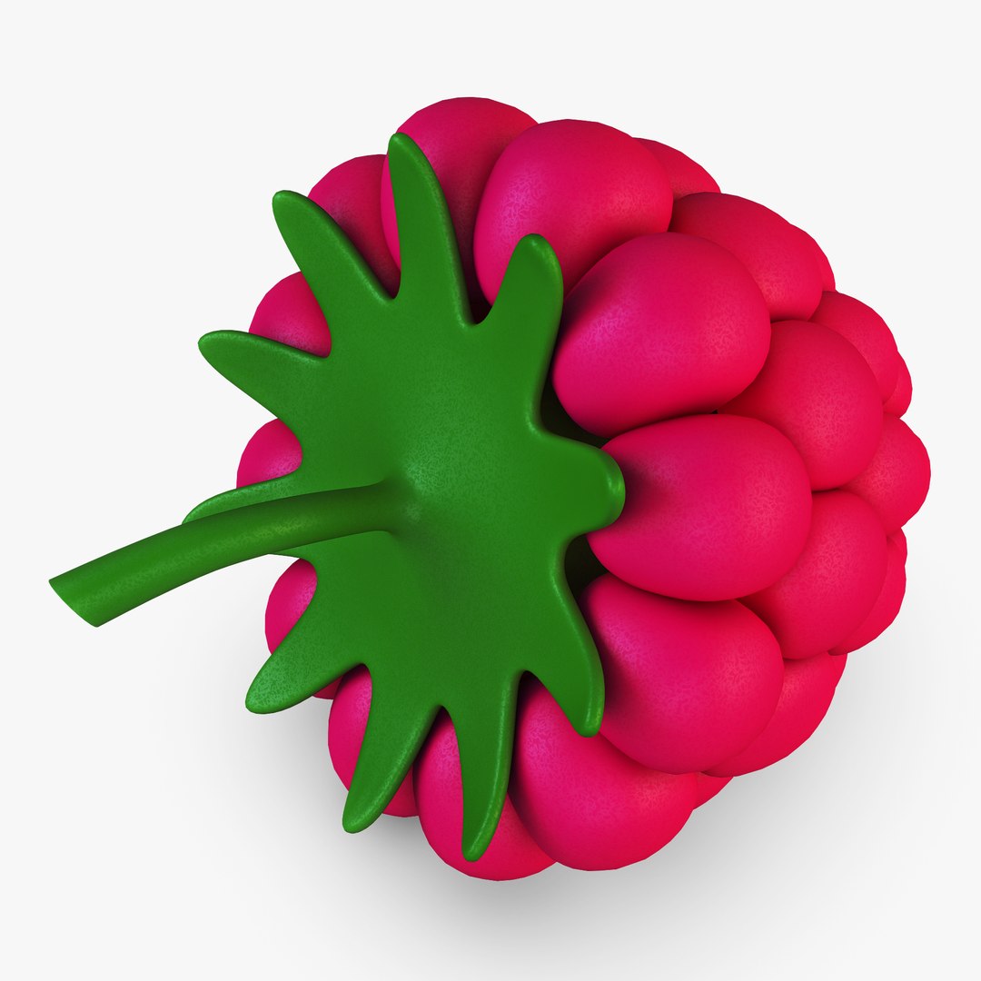 3D Cartoon Raspberry V 2 - TurboSquid 1617437