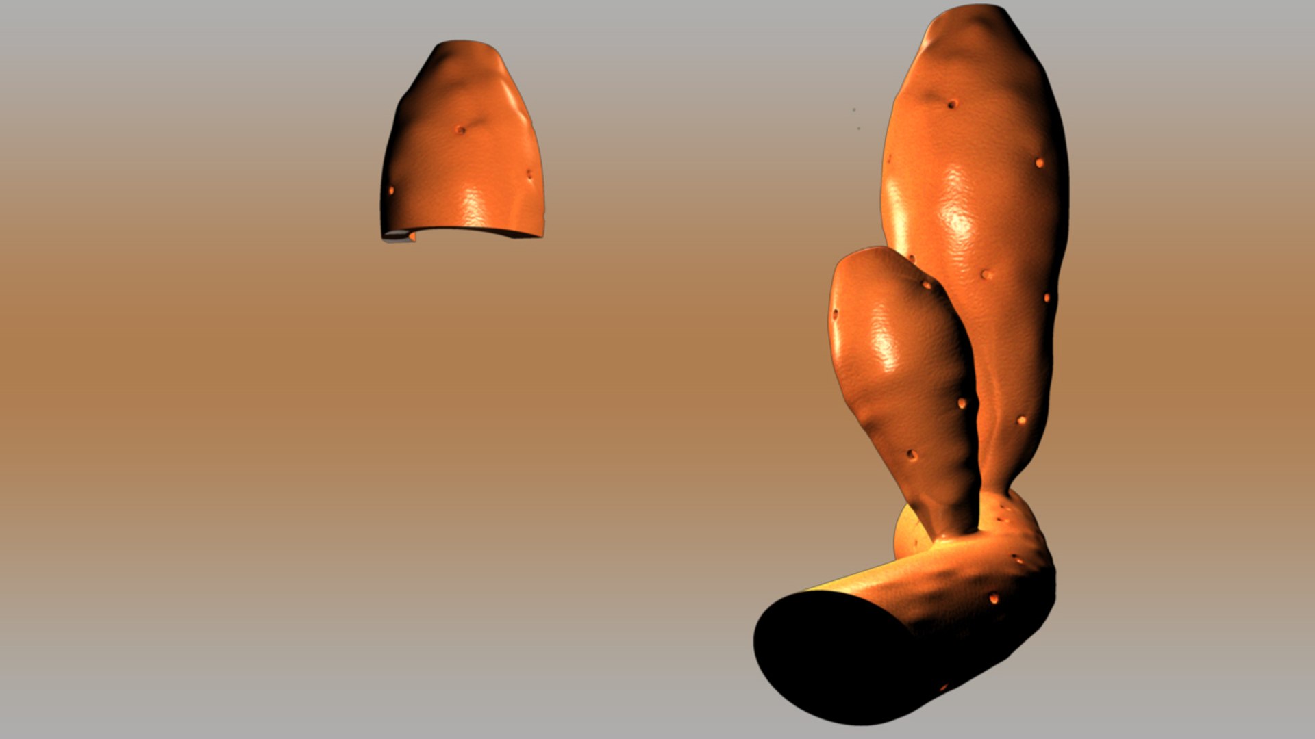 3d Sponges Animals Phylum Model