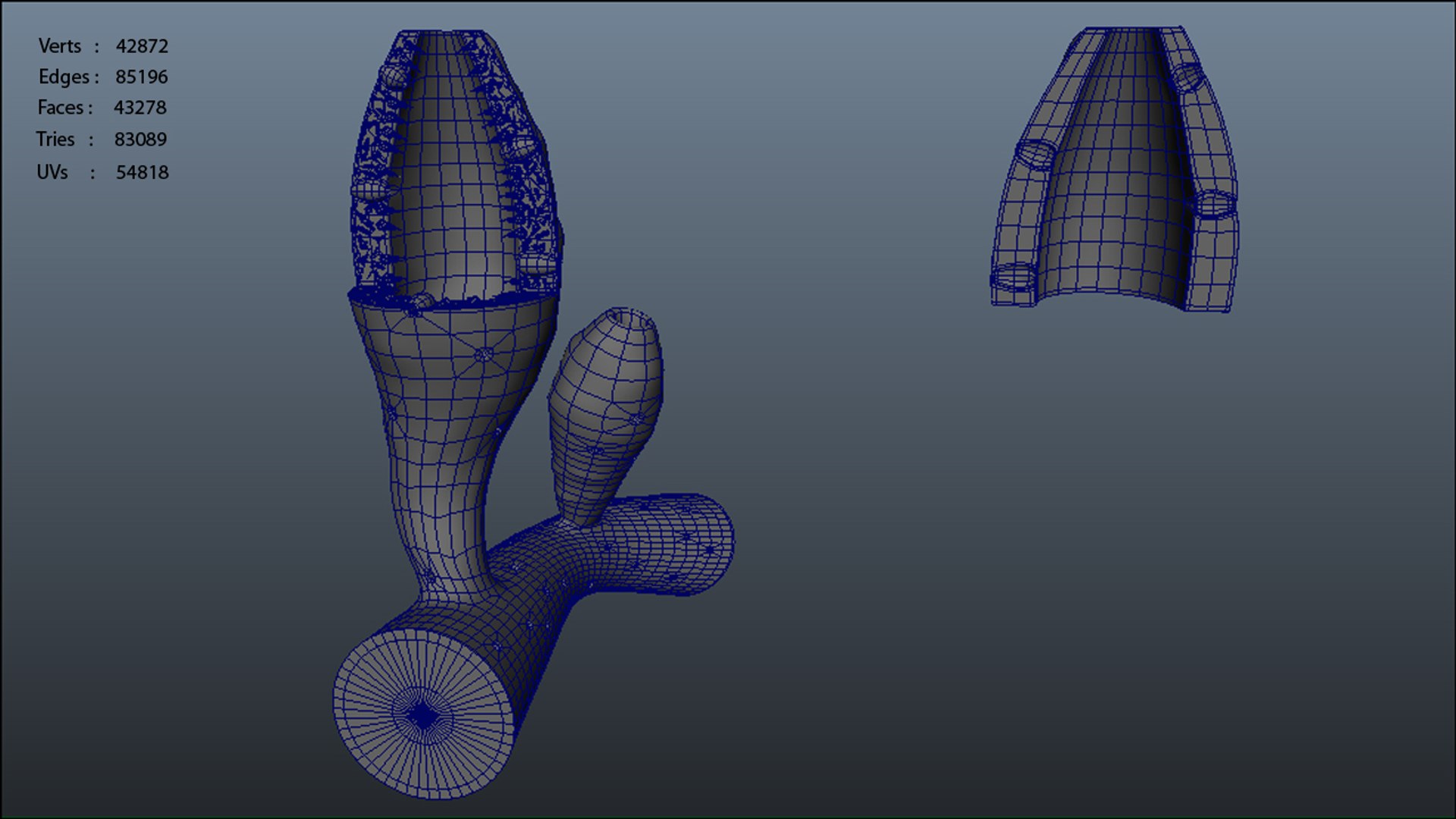3d Sponges Animals Phylum Model