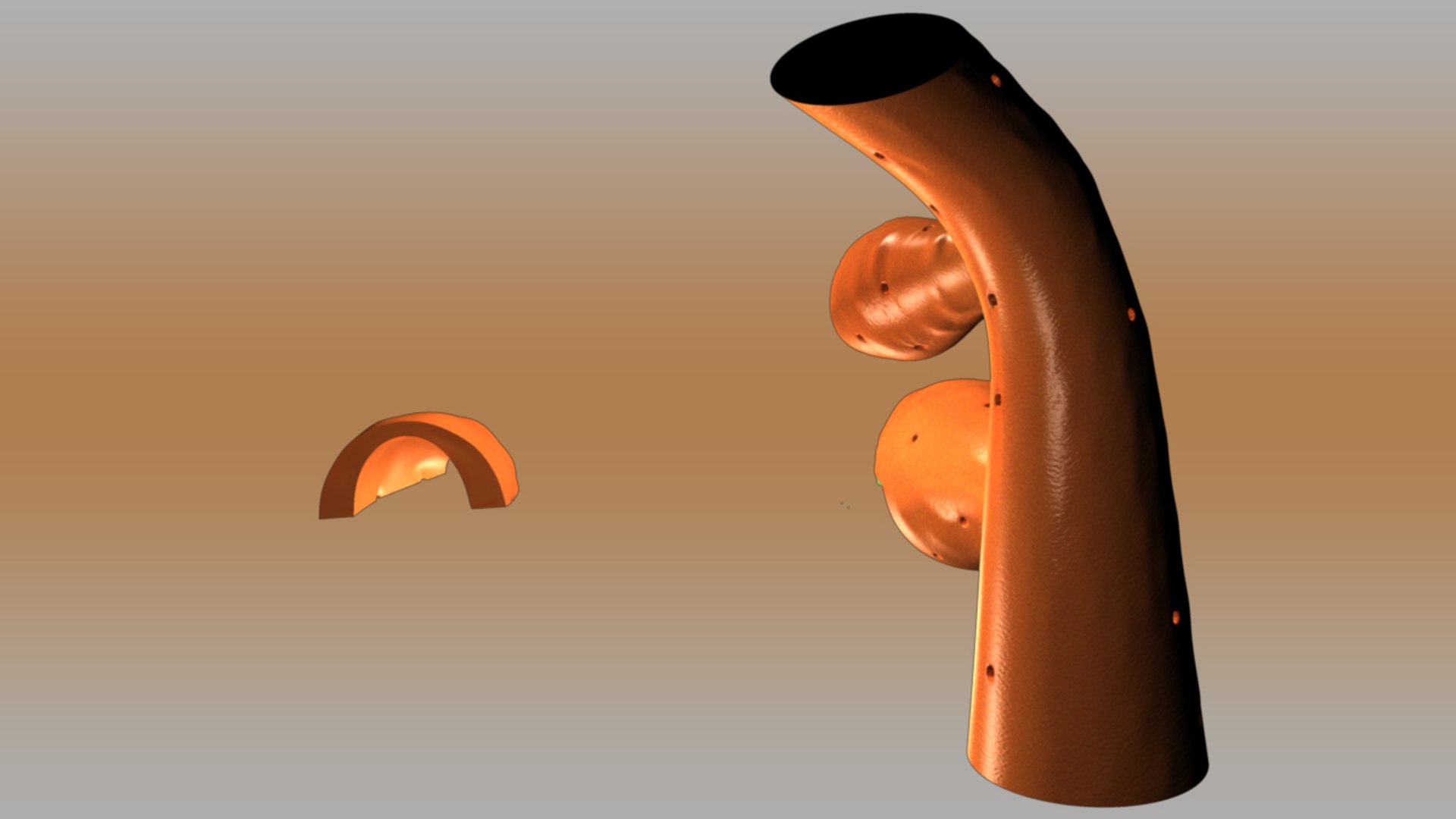 3d Sponges Animals Phylum Model