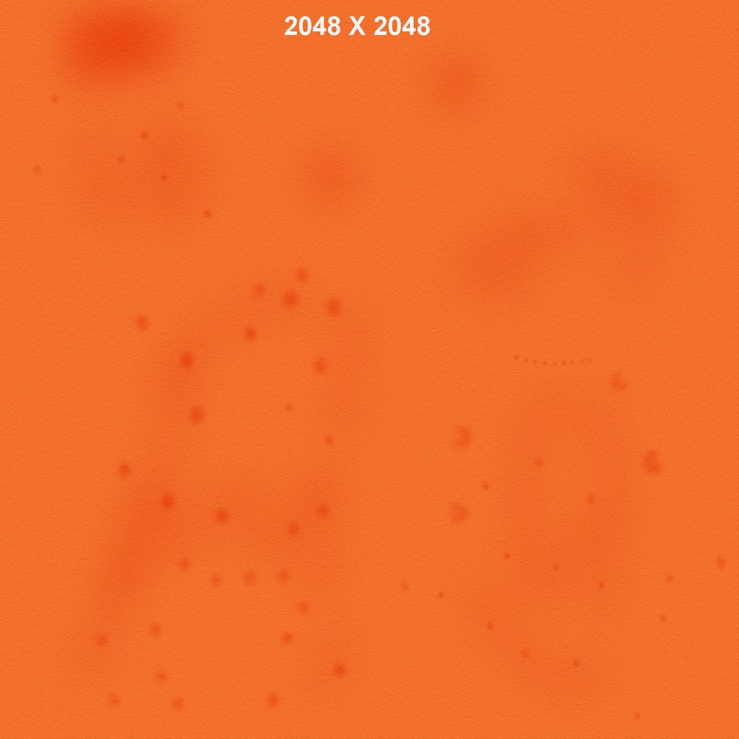 3d Sponges Animals Phylum Model