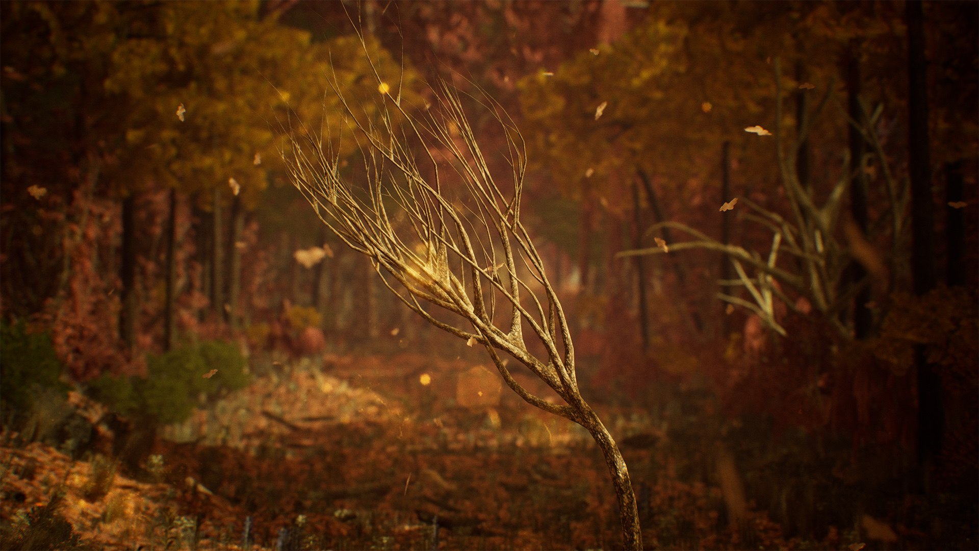 3D Deciduous Trees 200 Assets Model - TurboSquid 2192476