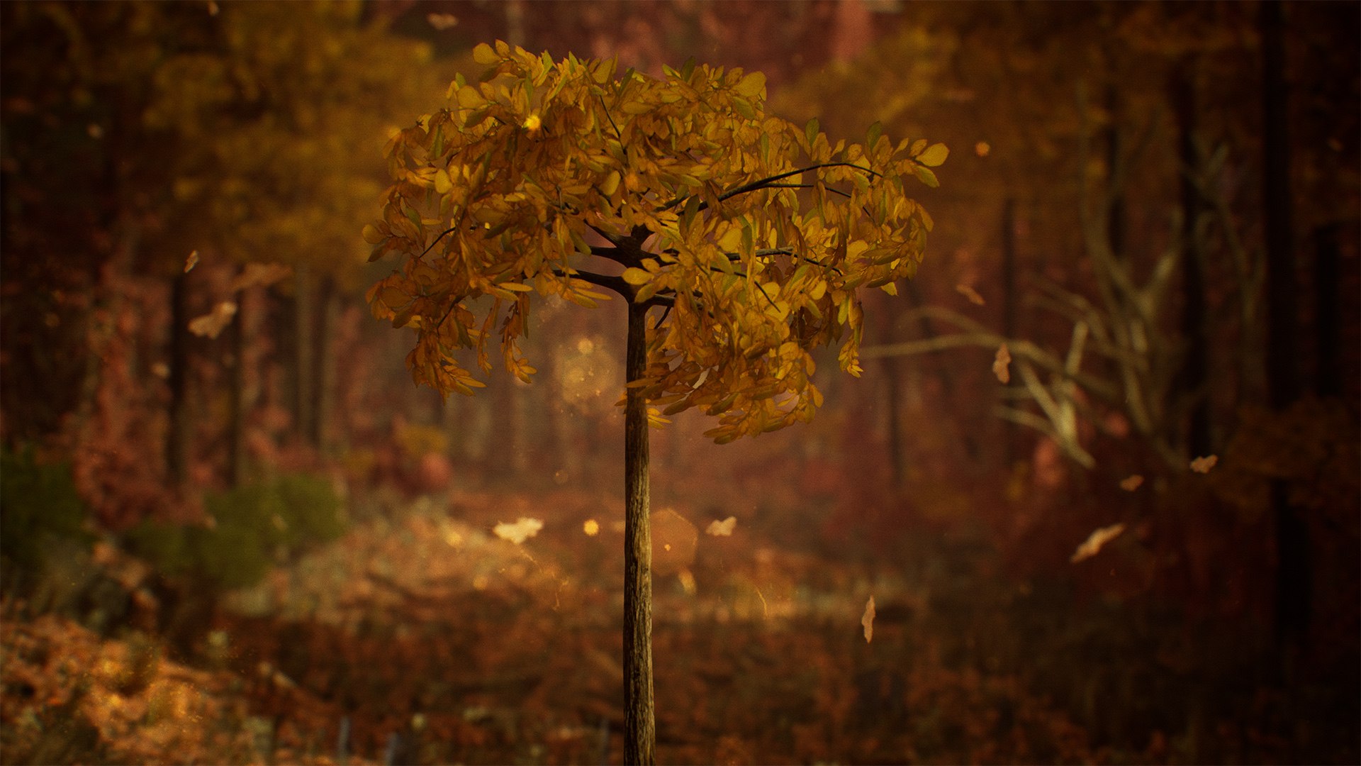3D Deciduous Trees 200 Assets Model - TurboSquid 2192476
