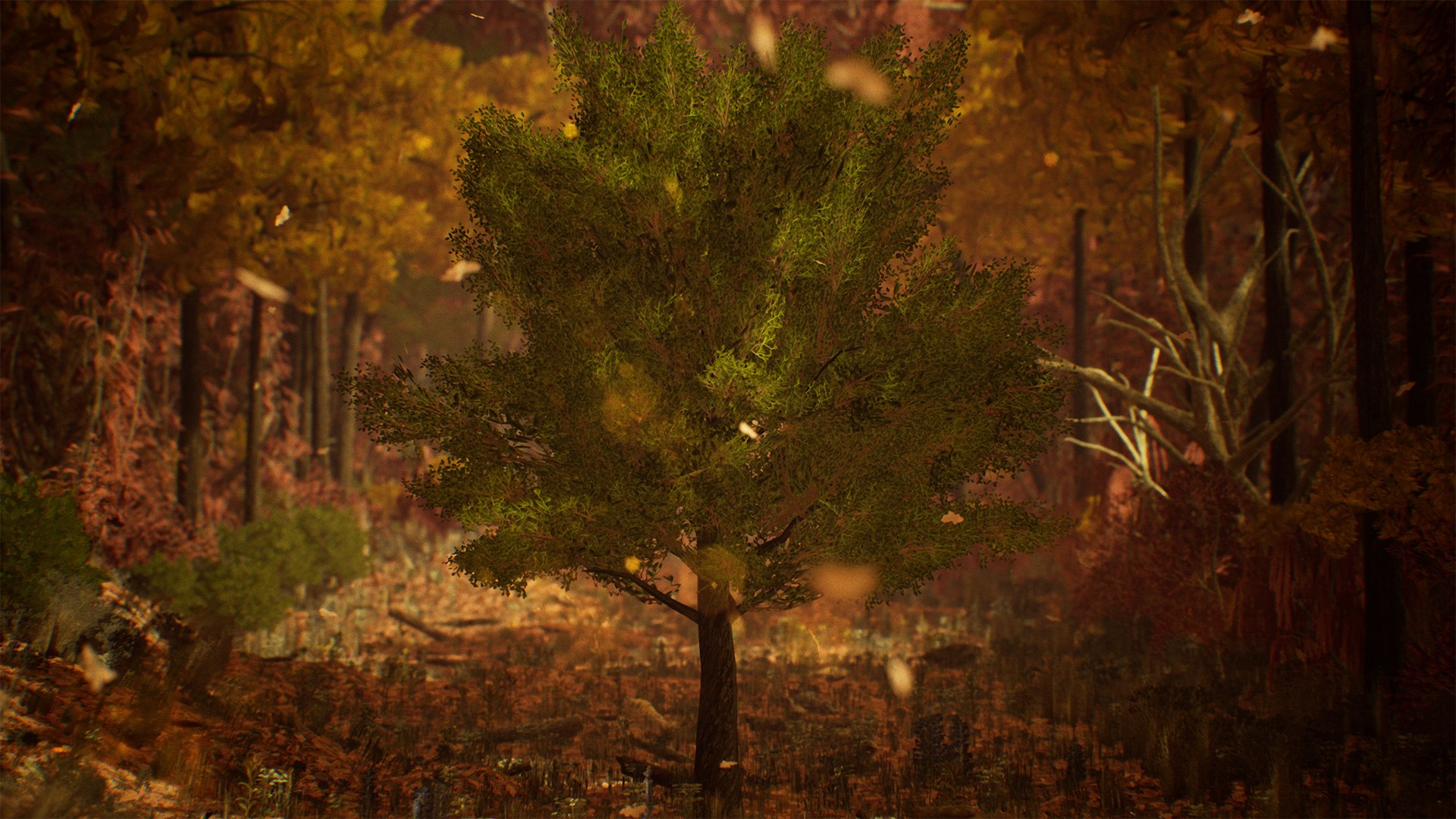 3D Deciduous Trees 200 Assets Model - TurboSquid 2192476