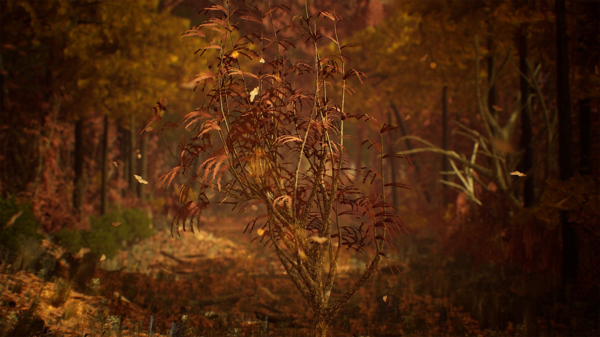 3D Deciduous Trees 200 Assets Model - TurboSquid 2192476