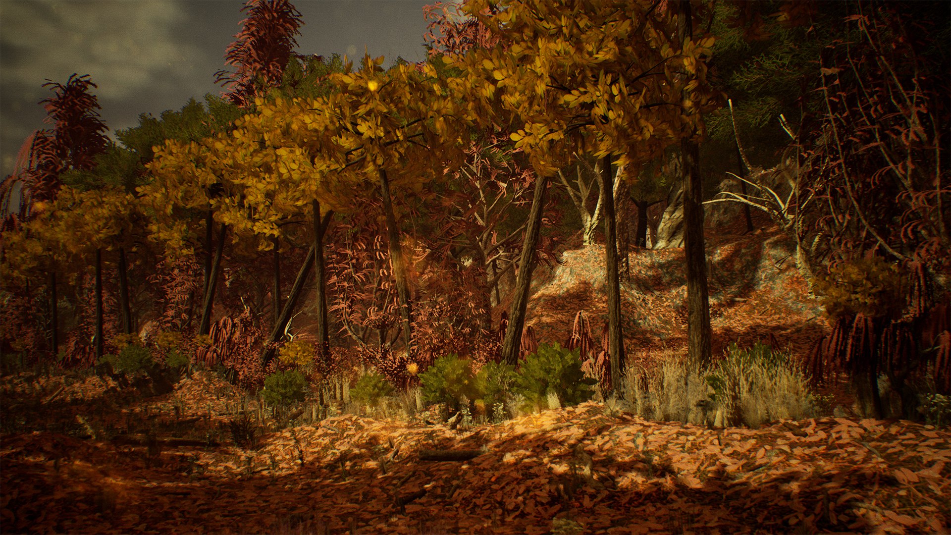 3D Deciduous Trees 200 Assets Model - TurboSquid 2192476