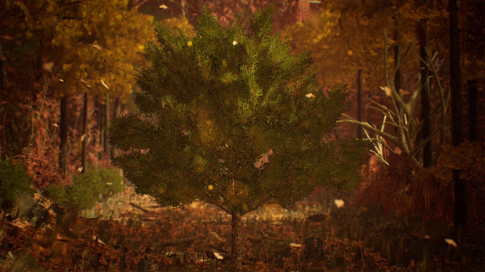 3D Deciduous Trees 200 Assets Model - TurboSquid 2192476