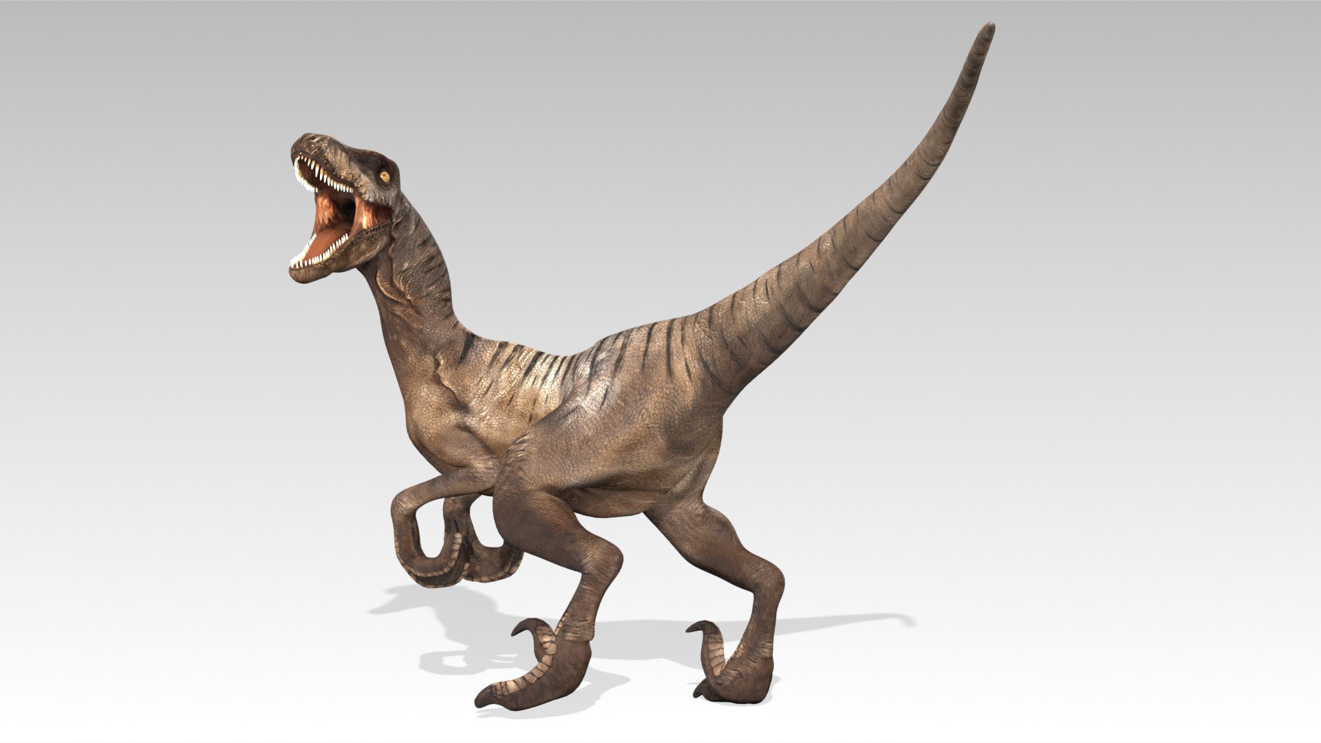 3D Velociraptor - TurboSquid 2392472