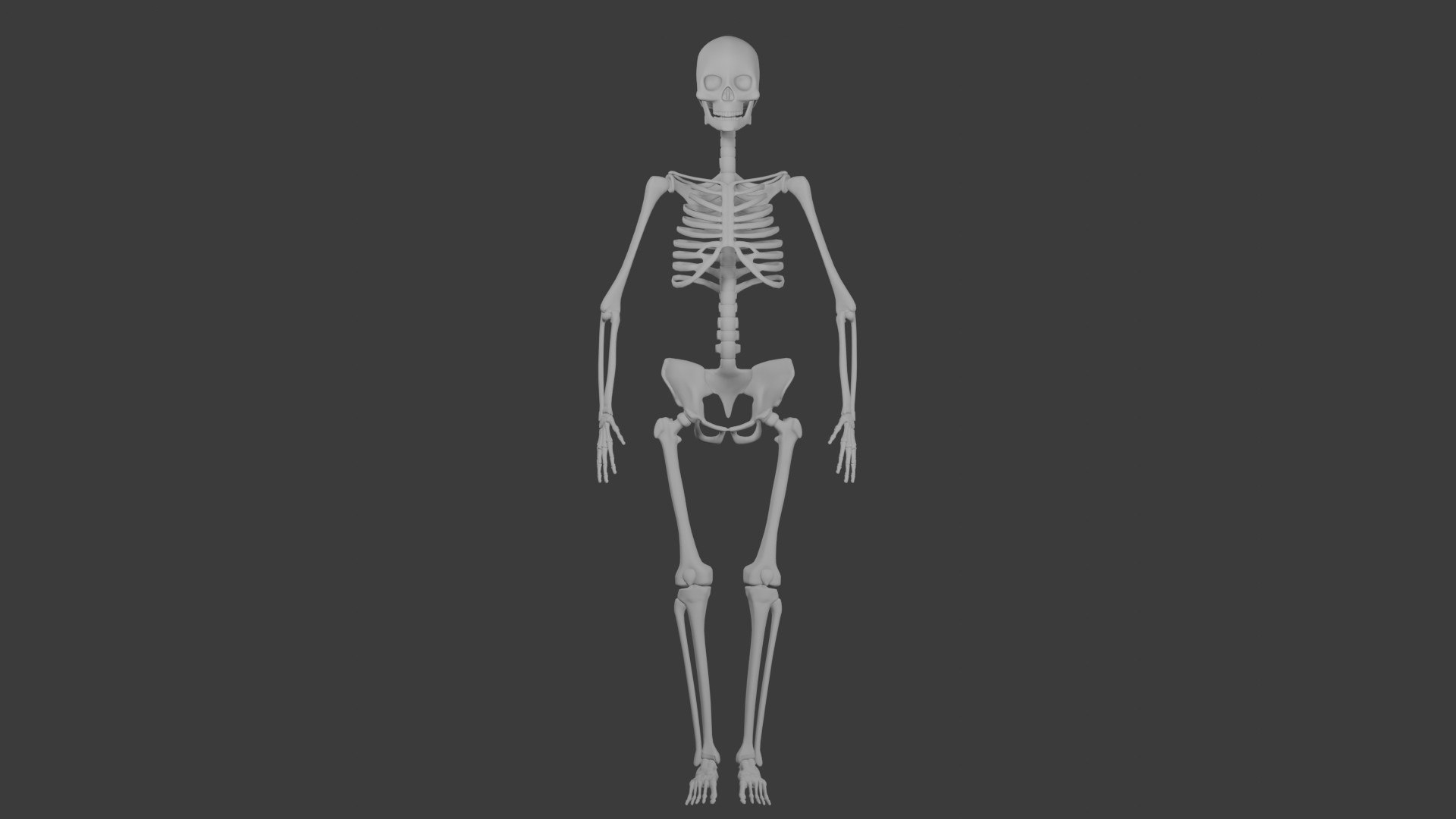 Human Skeleton 3D Model - TurboSquid 2247061