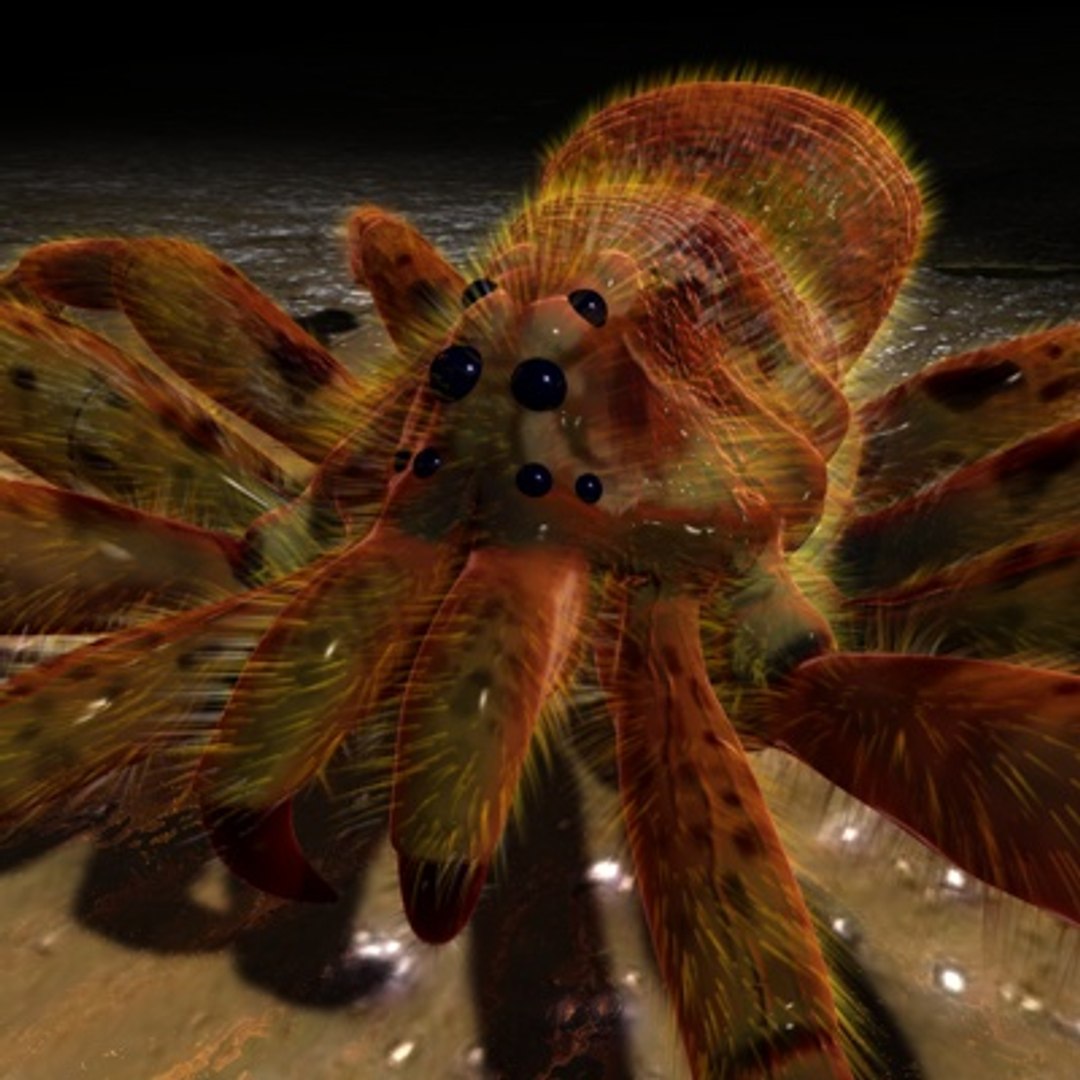 3d Spider Normal Animation Model