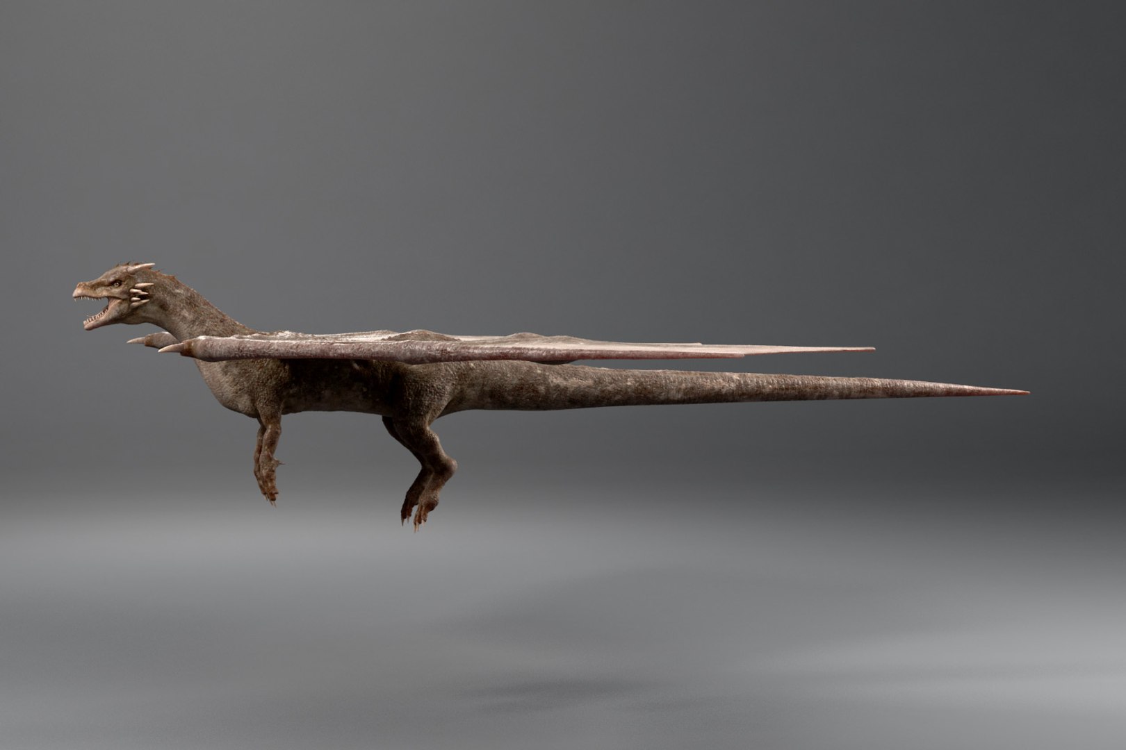 3d Dragon Animal Reptile