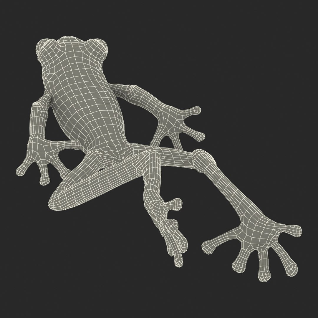 Tree Frog Pose 4 3d Model