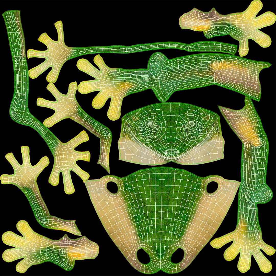 Tree Frog Pose 4 3d Model