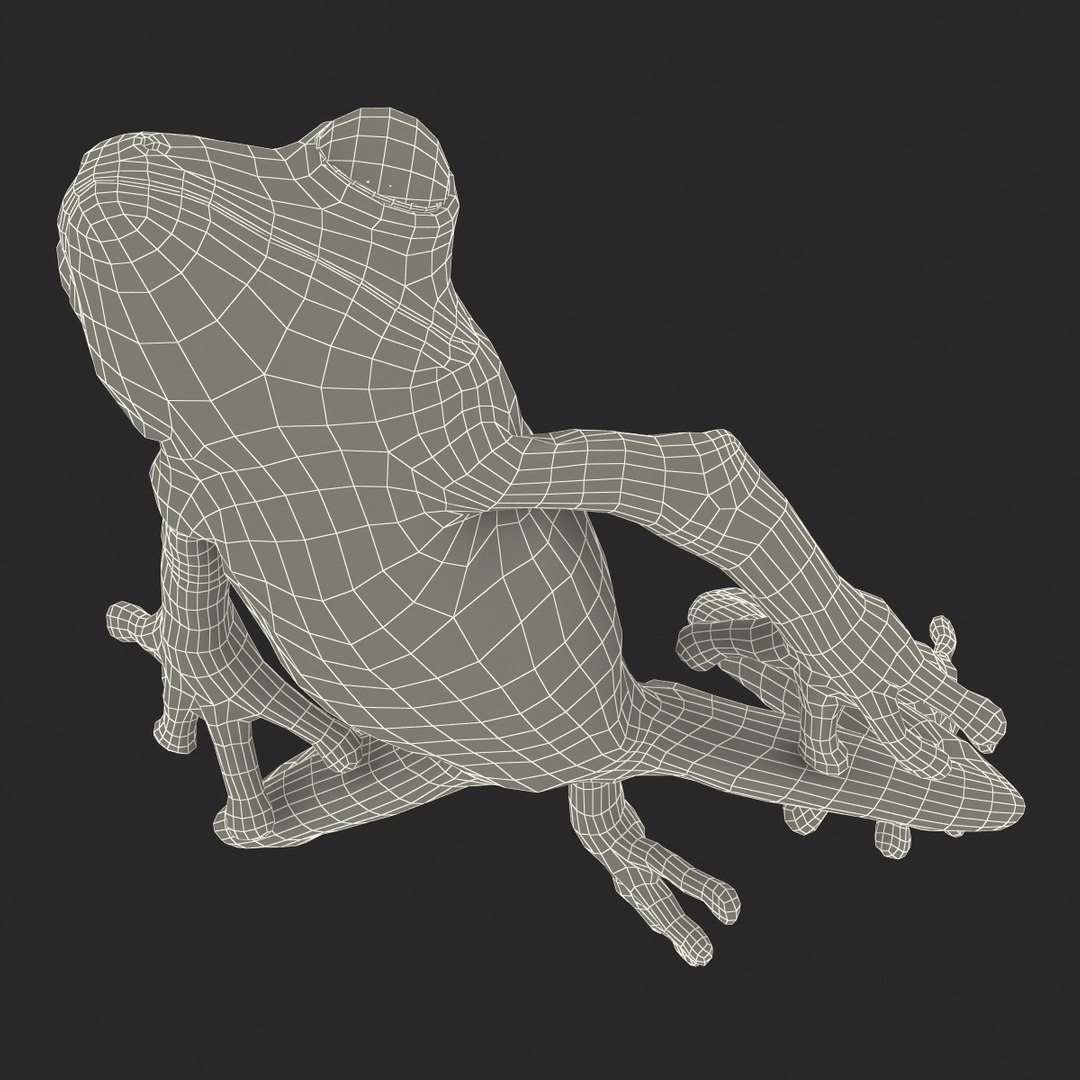 Tree Frog Pose 4 3d Model