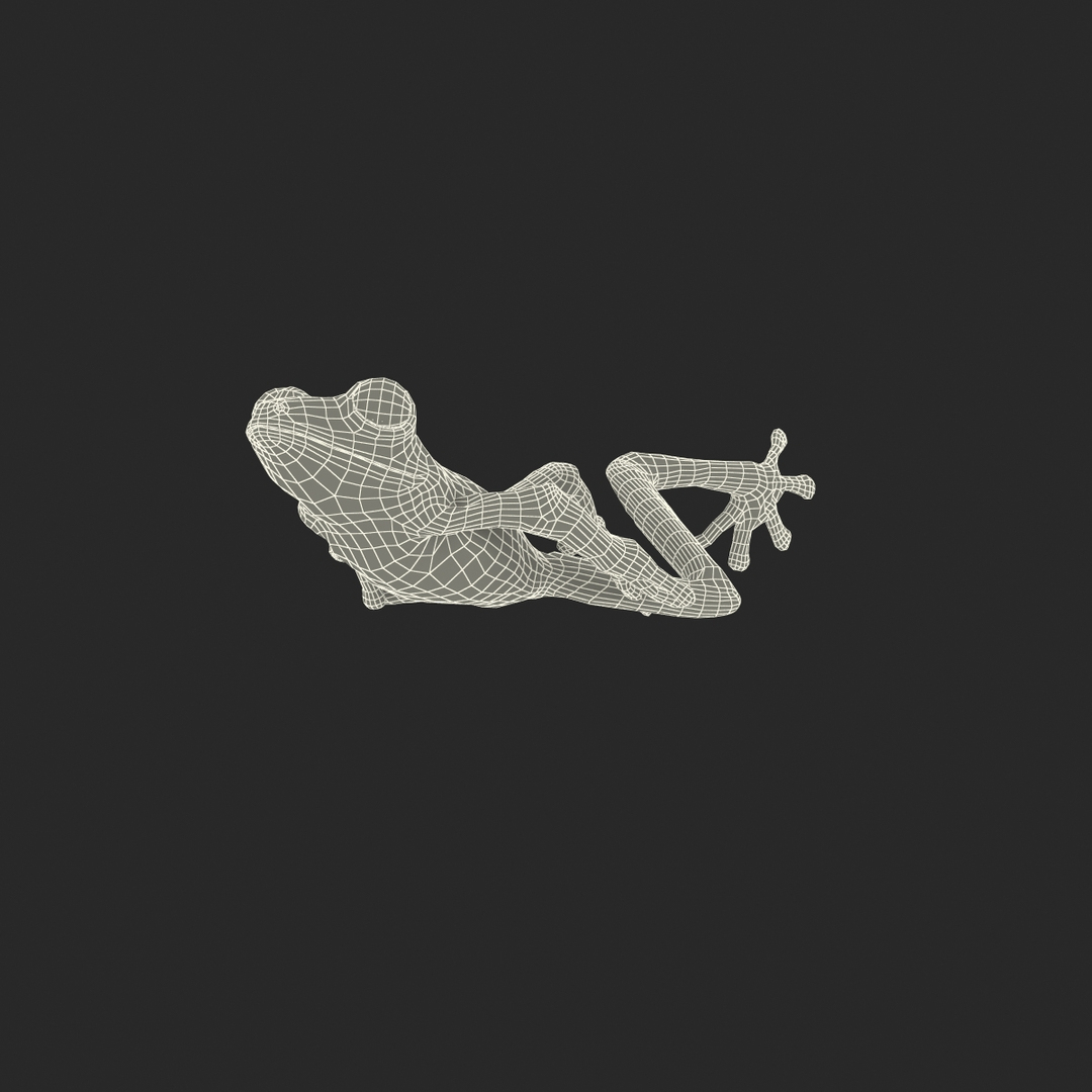 Tree Frog Pose 4 3d Model