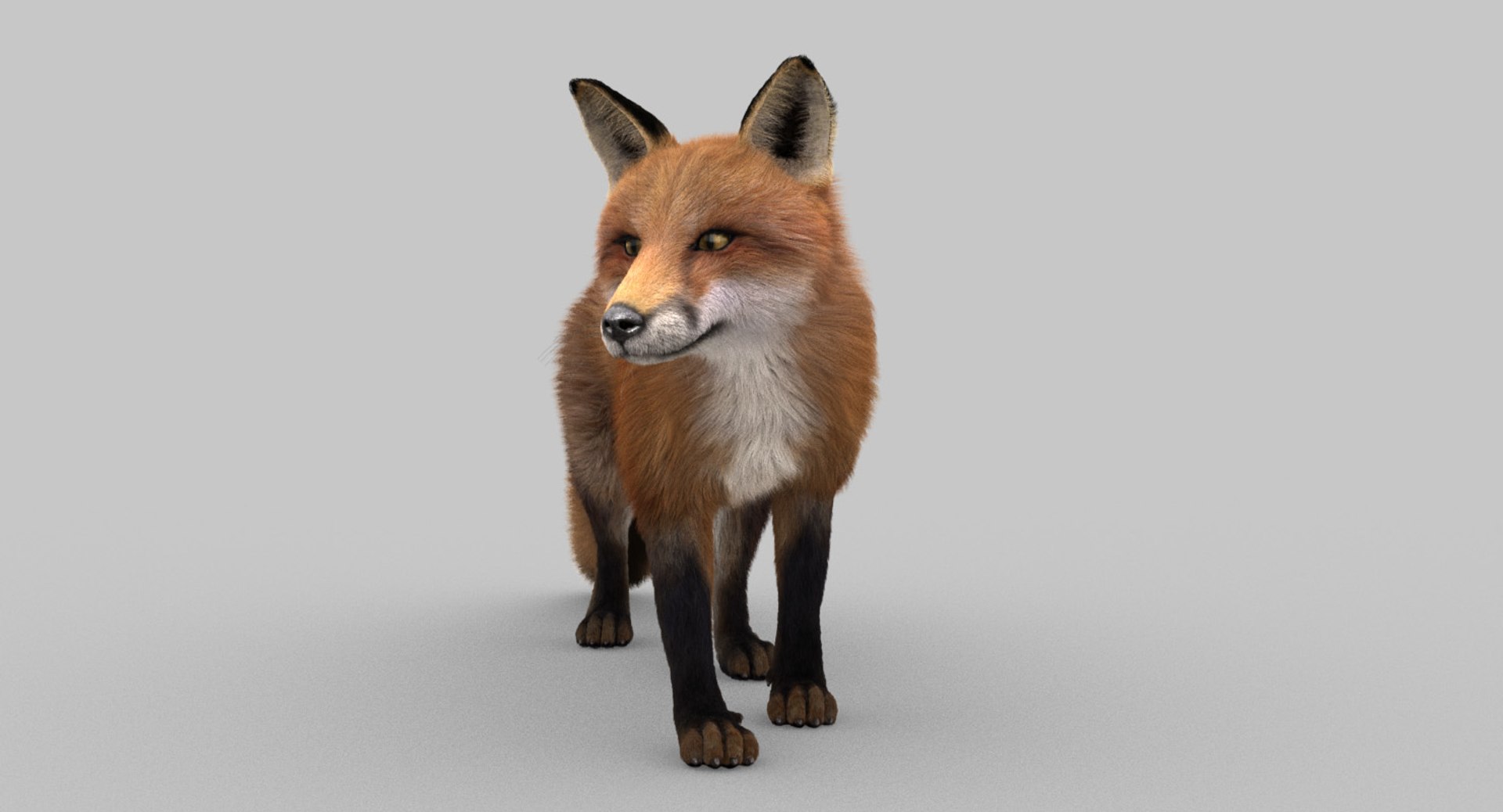 Fox Fur 3D - TurboSquid 1154805