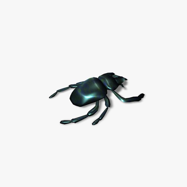 3d model beetle