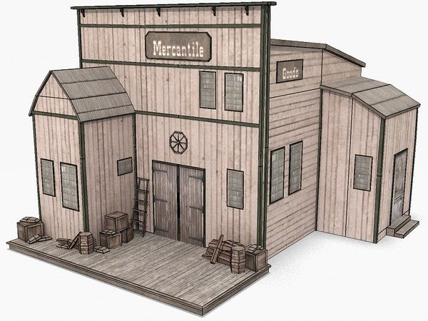 western store 3d model