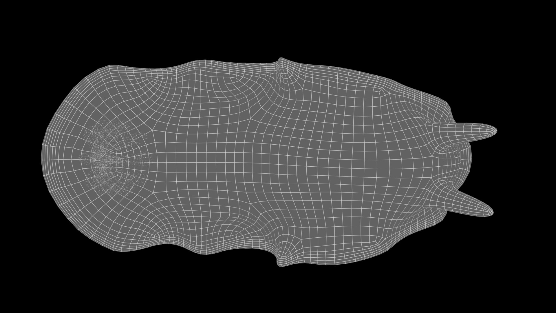 3D model Aqua marine Sea Creature - TurboSquid 2064129