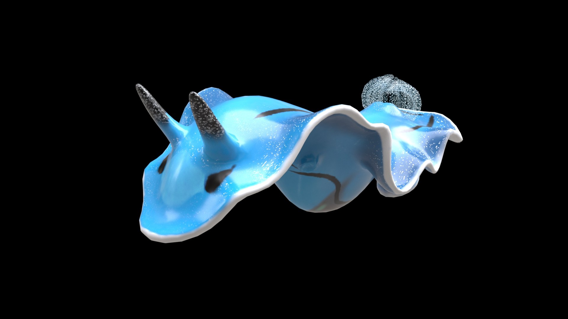 3D model Aqua marine Sea Creature - TurboSquid 2064129