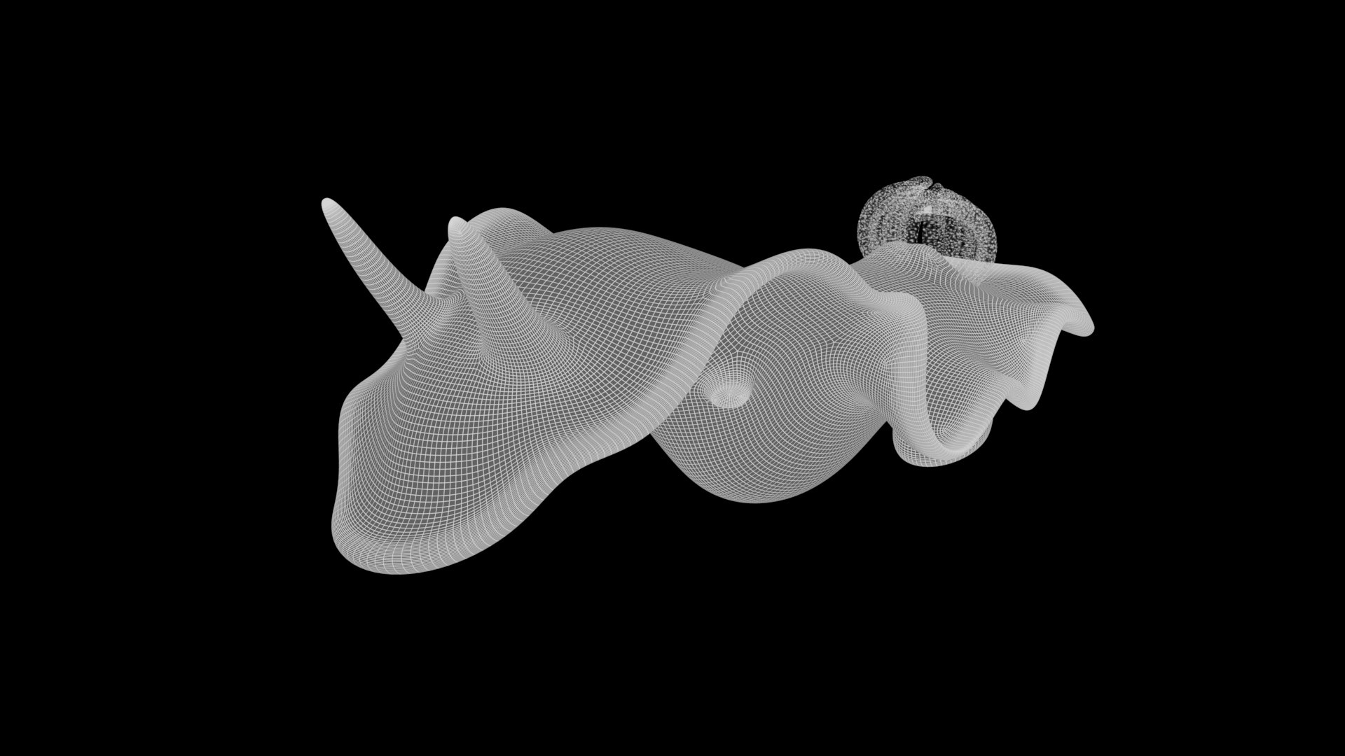 3D model Aqua marine Sea Creature - TurboSquid 2064129