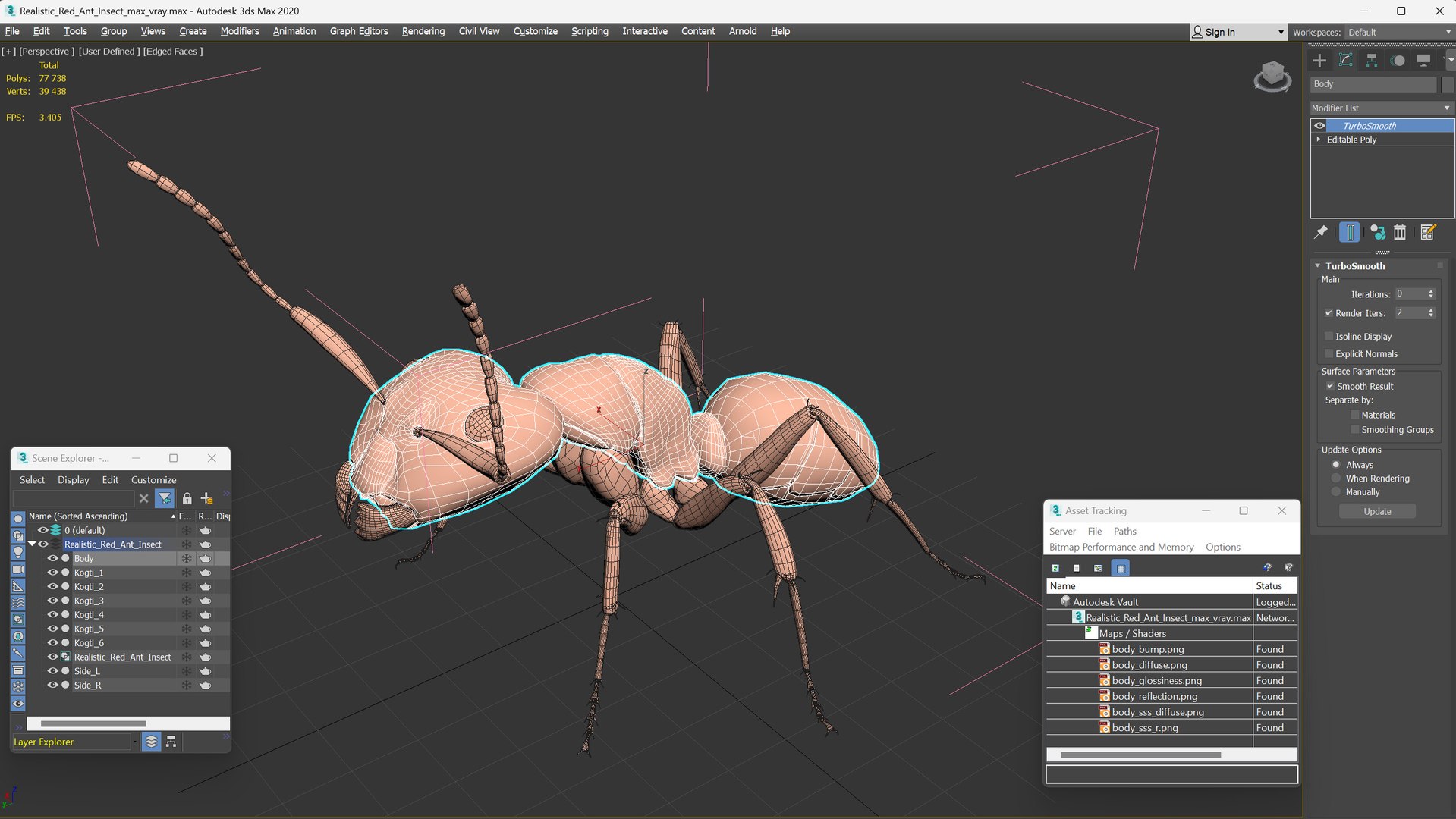 3D Realistic Red Ant Insect Model - TurboSquid 2324024