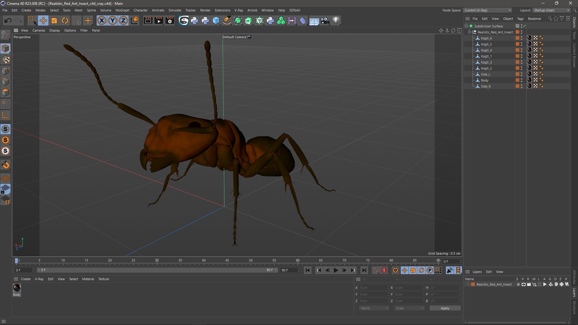 3D Realistic Red Ant Insect Model - TurboSquid 2324024