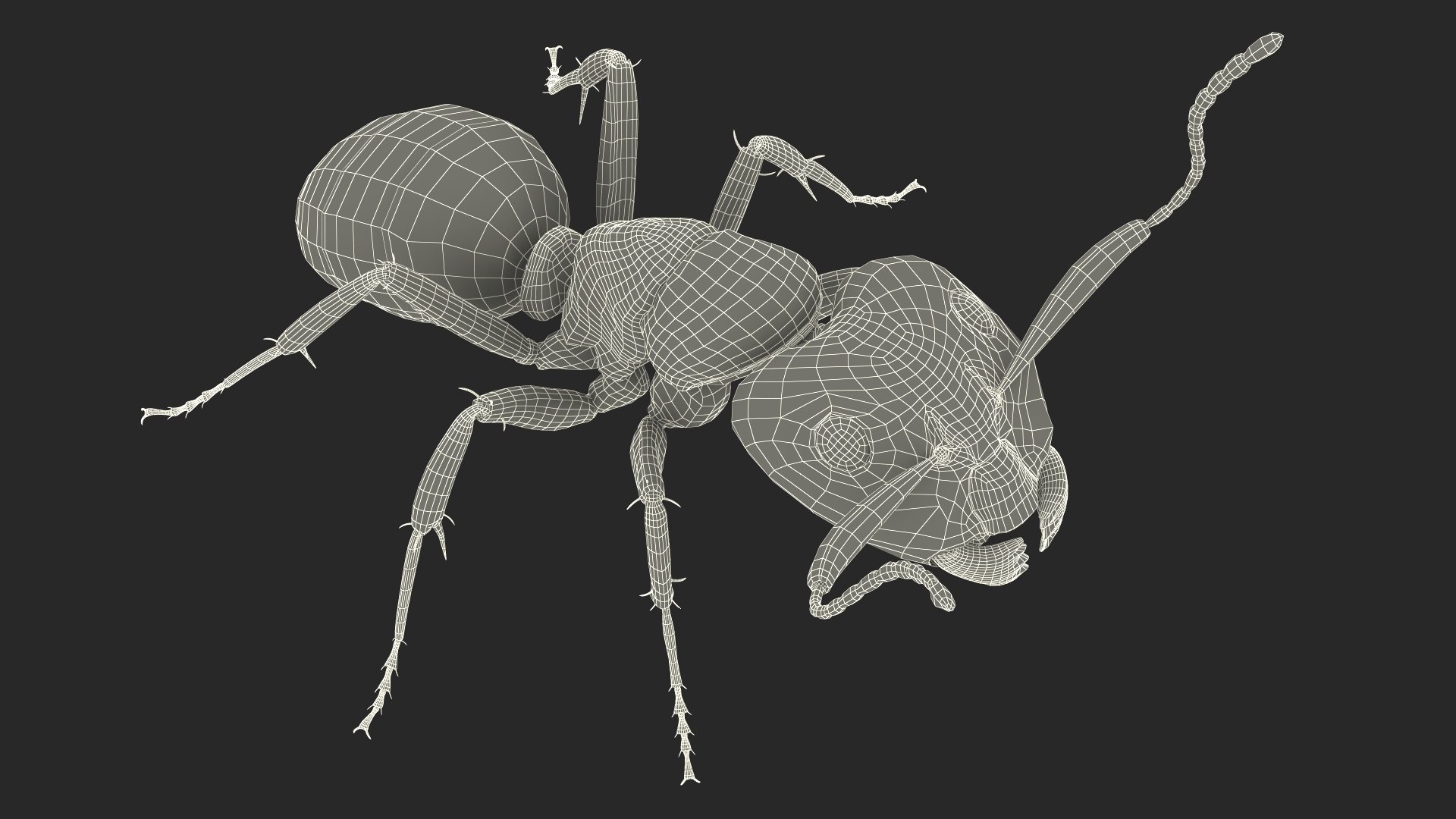 3D Realistic Red Ant Insect Model - TurboSquid 2324024