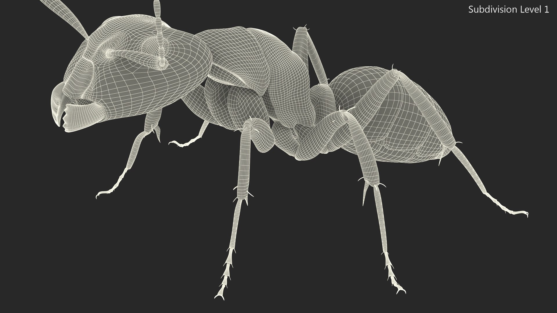 3D Realistic Red Ant Insect Model - TurboSquid 2324024