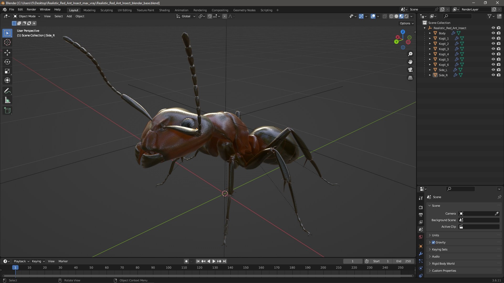 3D Realistic Red Ant Insect Model - TurboSquid 2324024