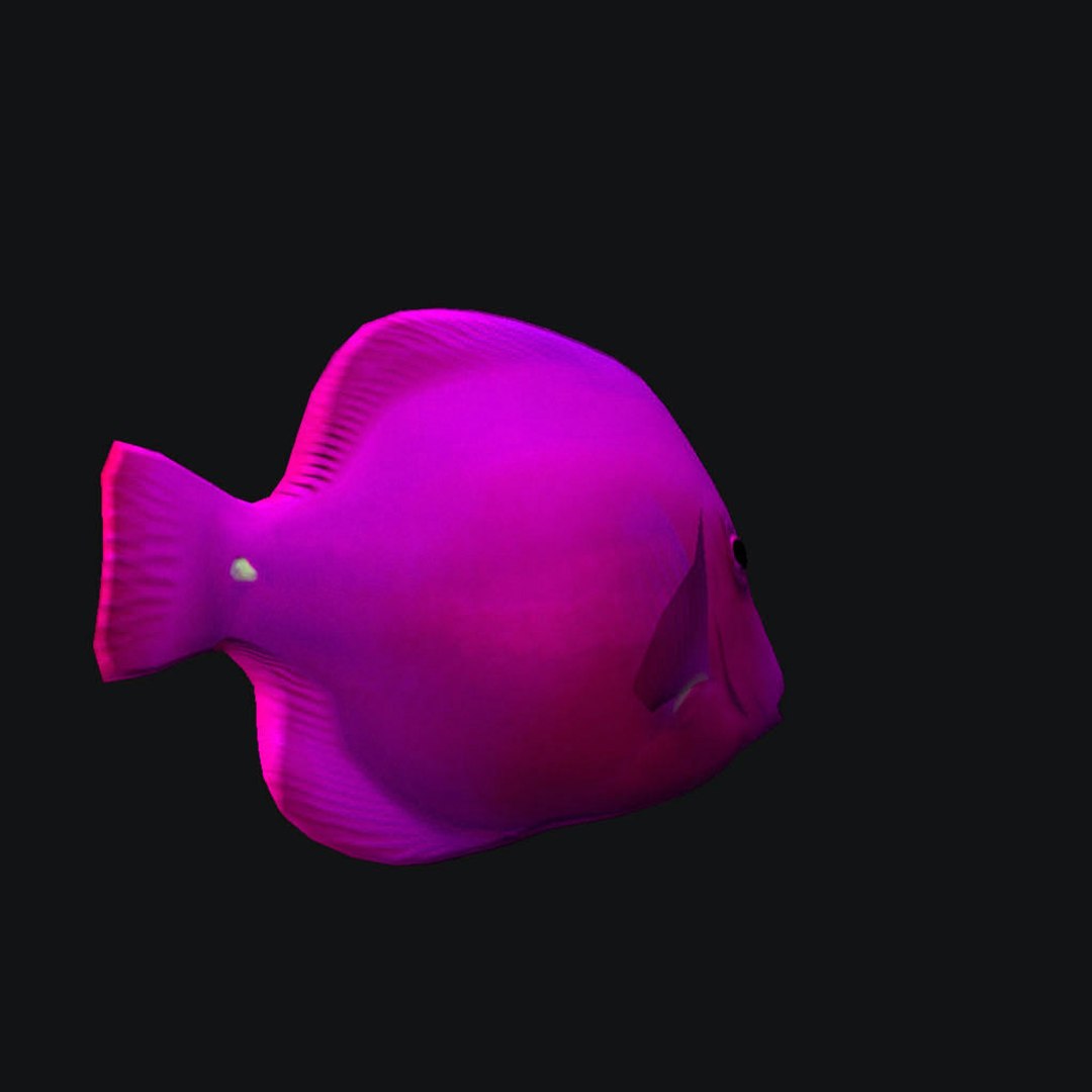 Pink Cheek Butterfly Fish 3D Model - TurboSquid 1244962