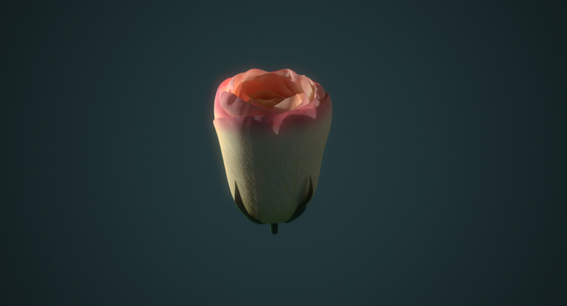 3D Rose Animation - TurboSquid 1252440