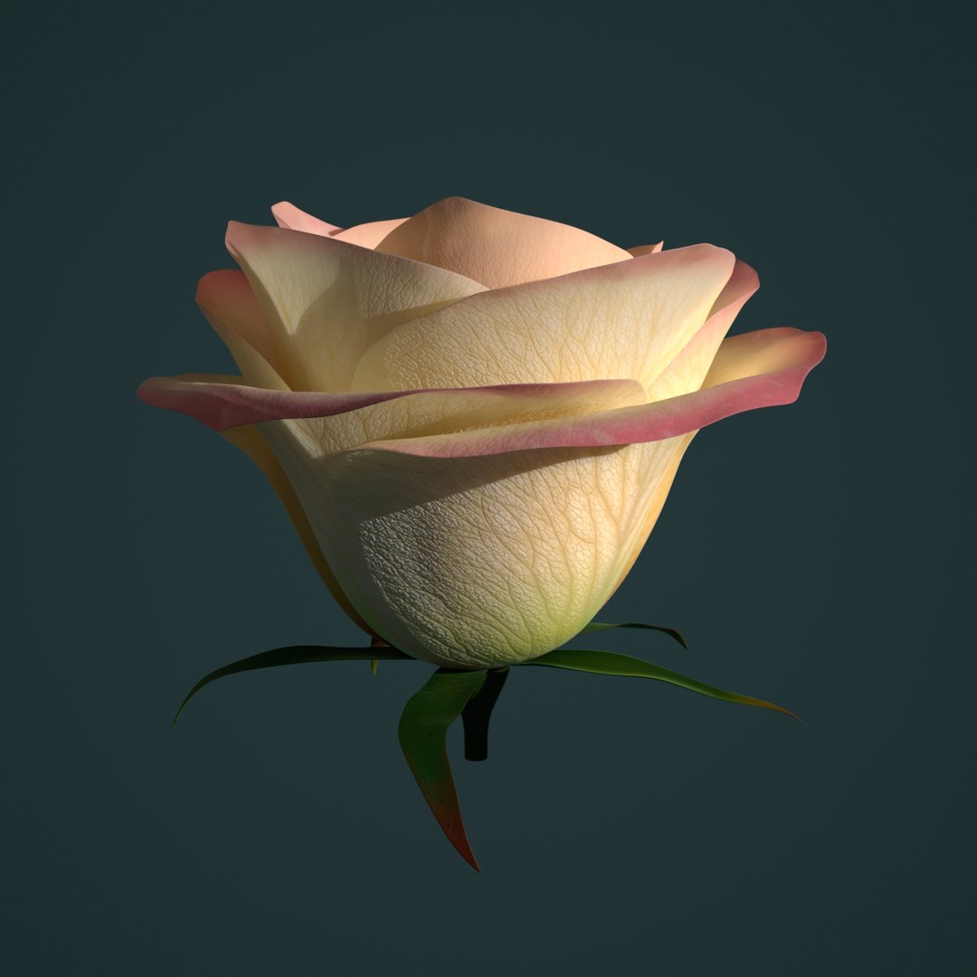 3D Rose Animation - TurboSquid 1252440