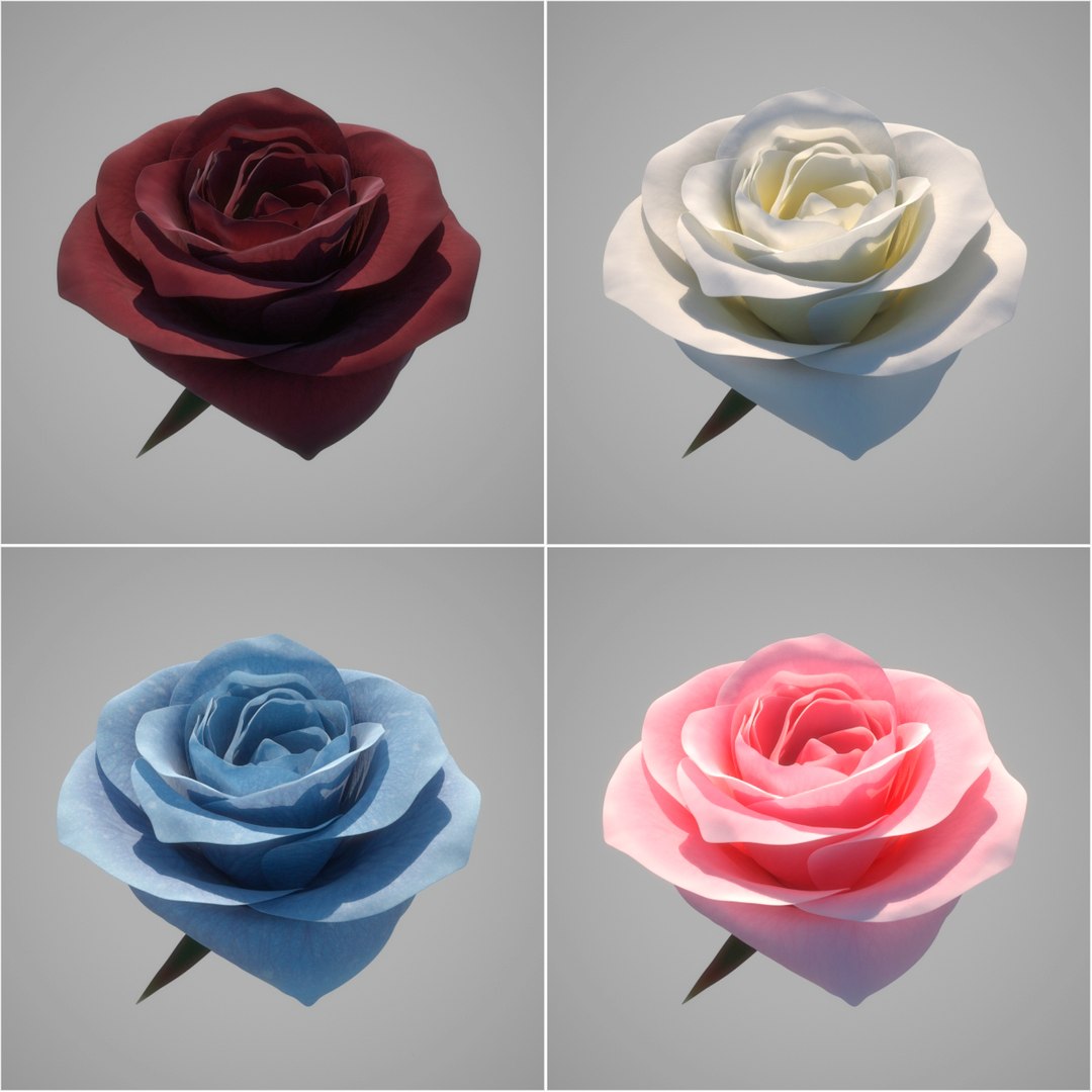 3D Rose Animation - TurboSquid 1252440