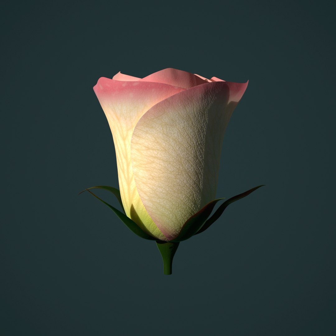 3D Rose Animation - TurboSquid 1252440