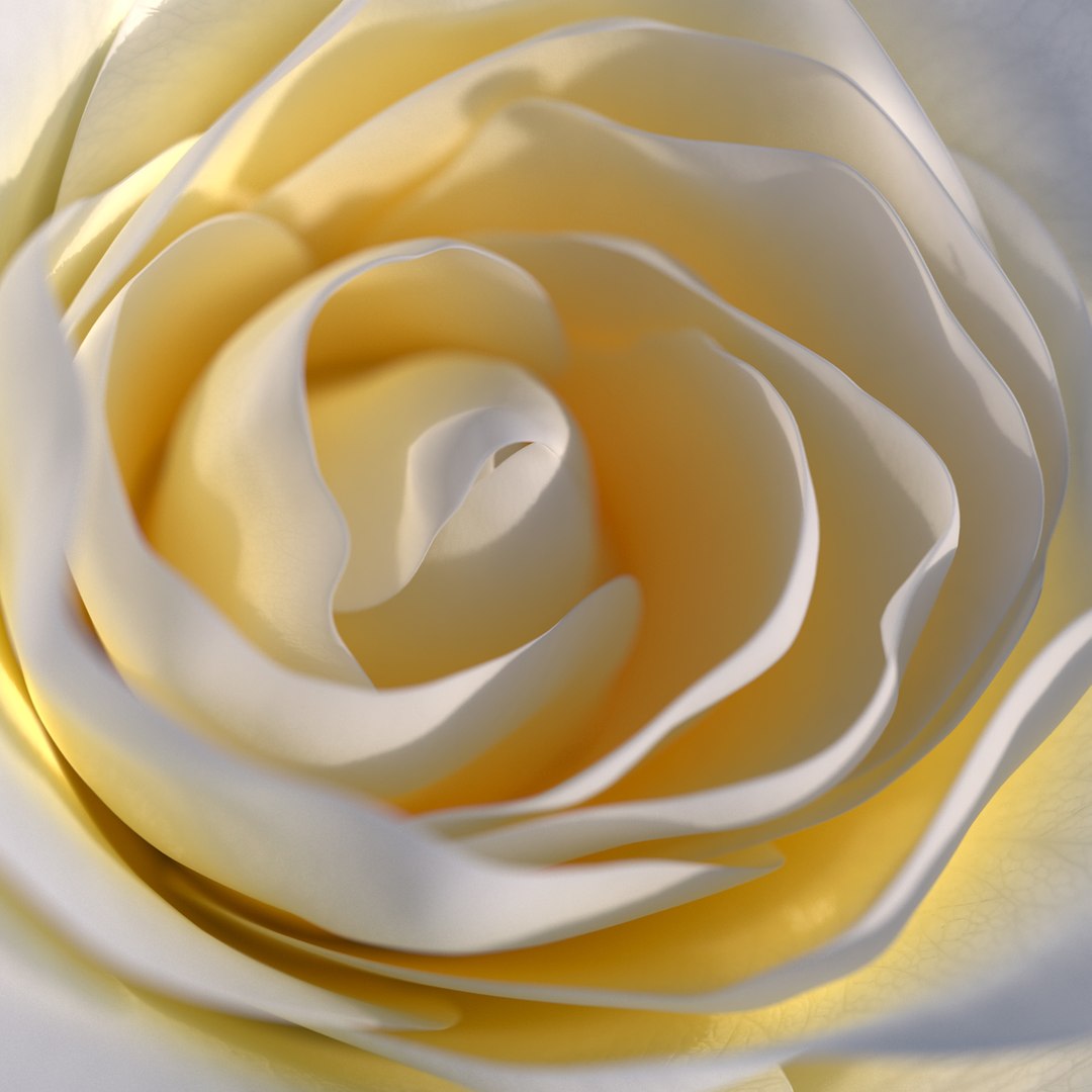 3D Rose Animation - TurboSquid 1252440