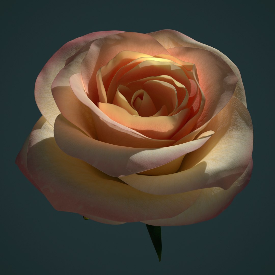 3D Rose Animation - TurboSquid 1252440