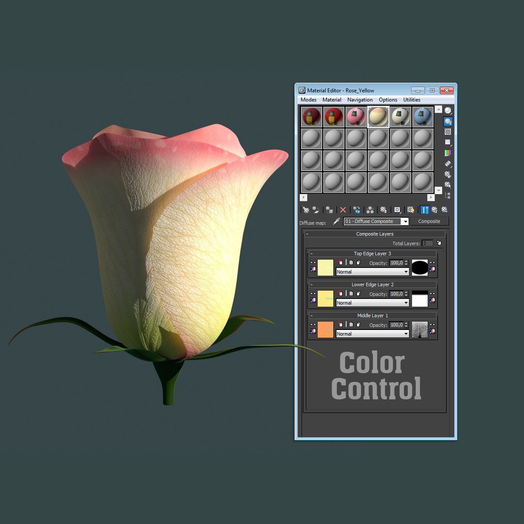 3D Rose Animation - TurboSquid 1252440