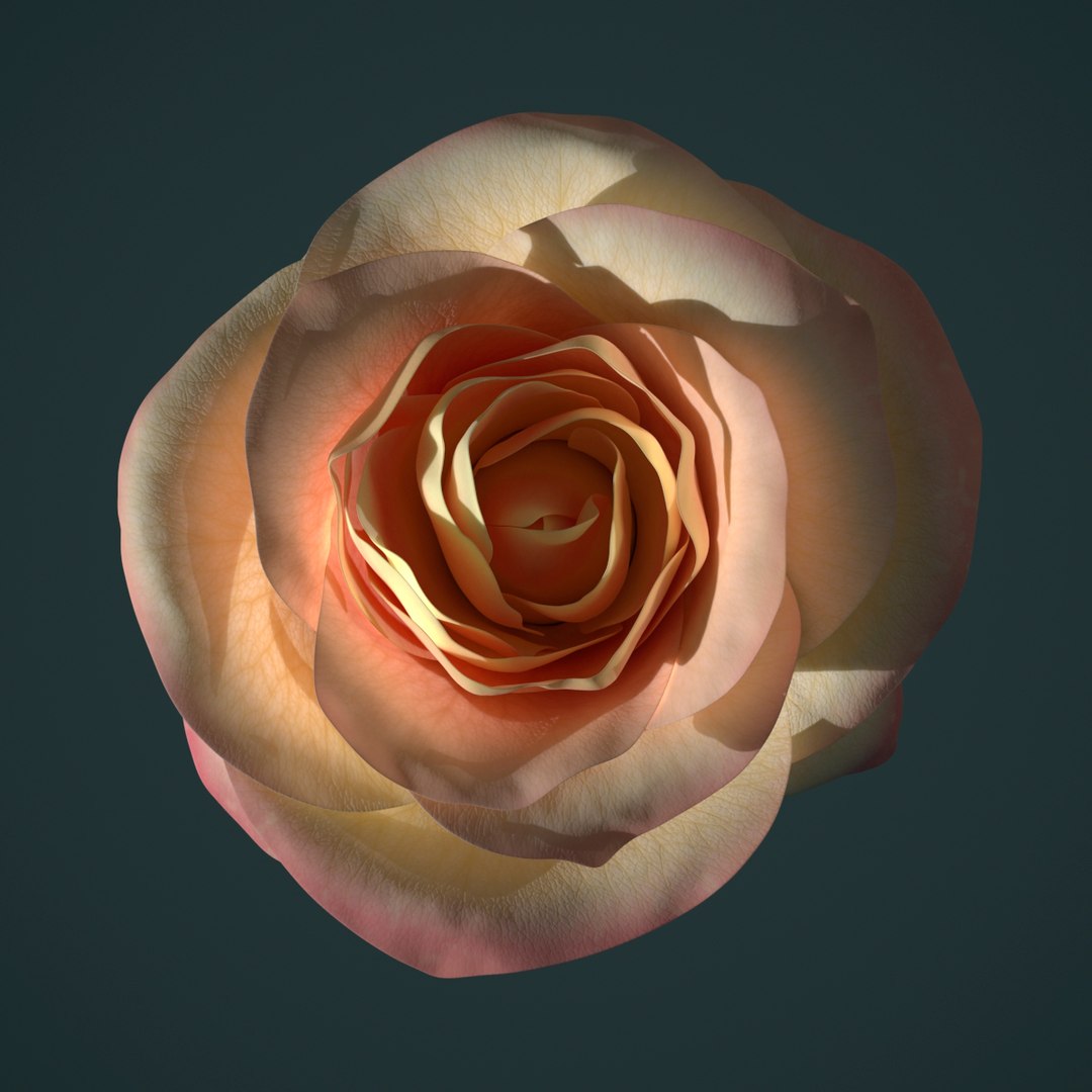 3D Rose Animation - TurboSquid 1252440