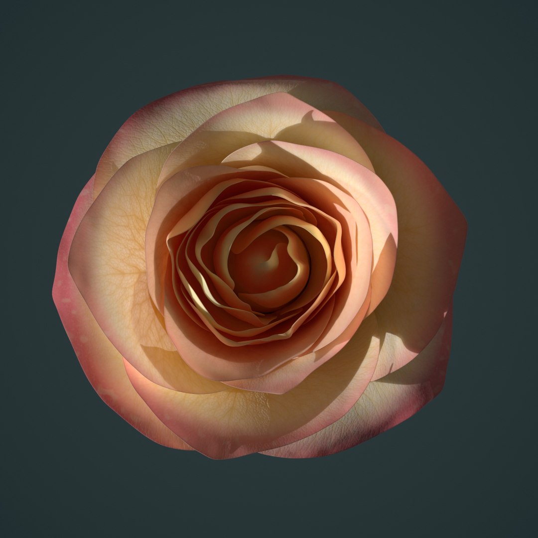 3D Rose Animation - TurboSquid 1252440