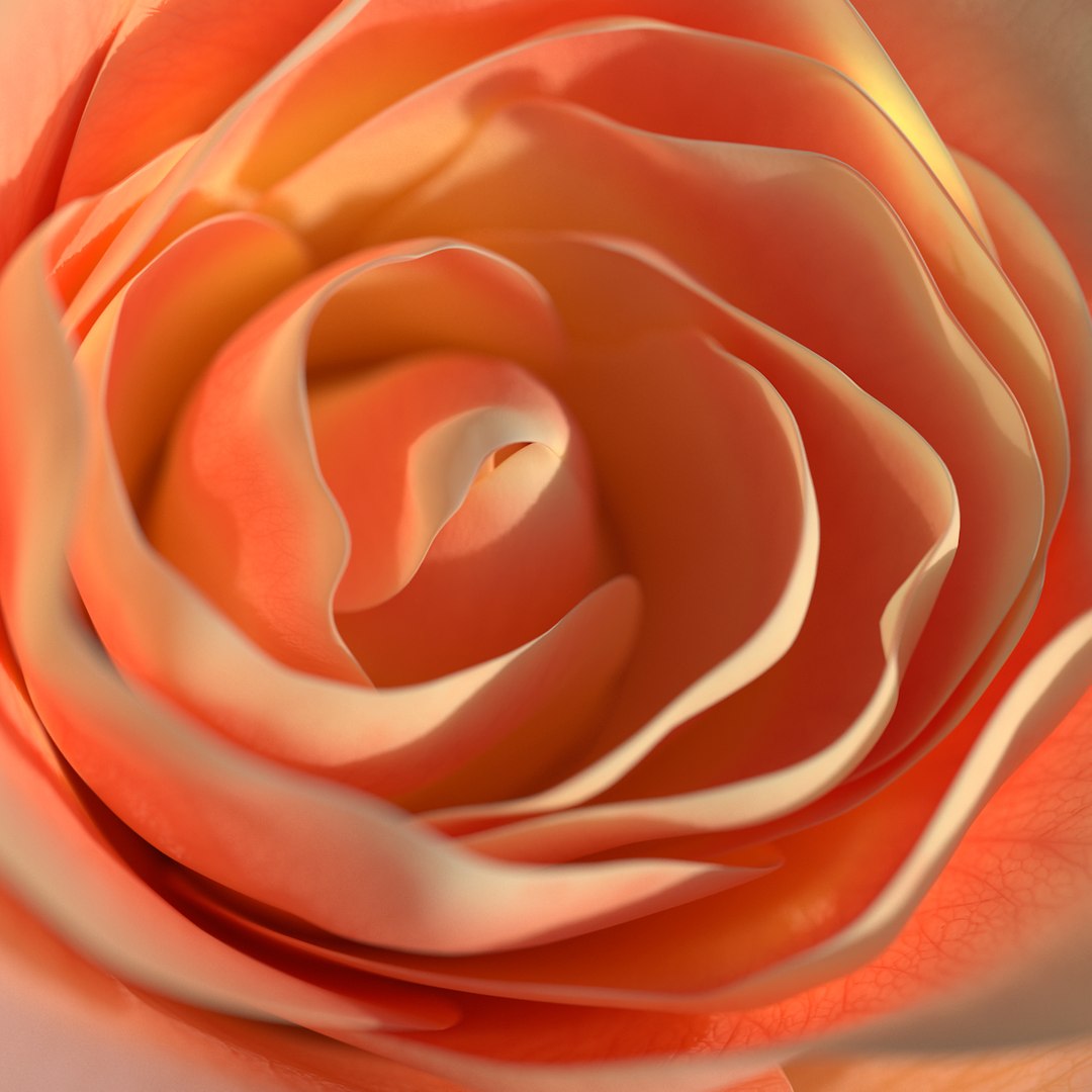 3D Rose Animation - TurboSquid 1252440