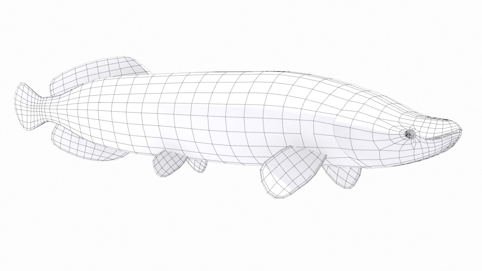 Arapaima 3D - TurboSquid 2115150