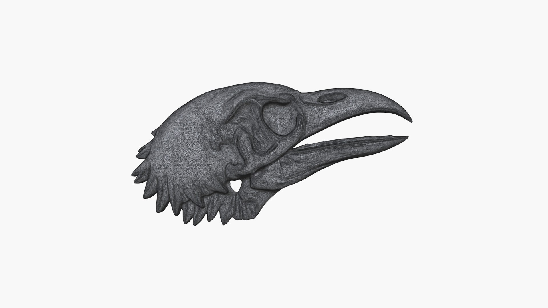 4 Crow Skull Reliefs Collection 1 Model - TurboSquid 2287522