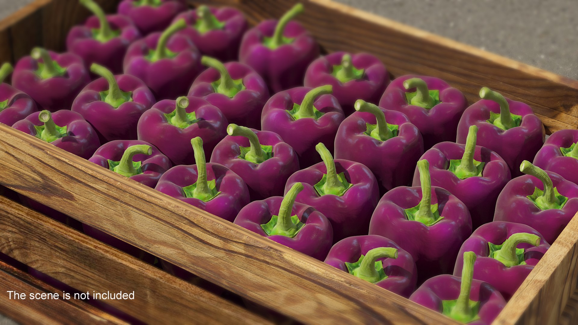 3D Purple Pepper Marconi - TurboSquid 1980902