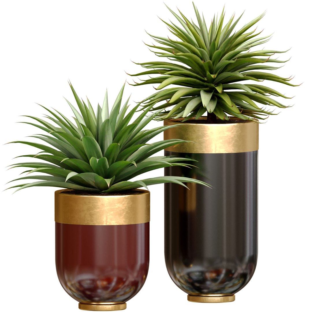 Decorative Tropical Agave Plant In Modern Luxury Flower Pots Vases Urns ...