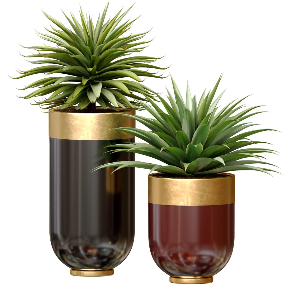 Decorative Tropical Agave Plant In Modern Luxury Flower Pots Vases Urns ...