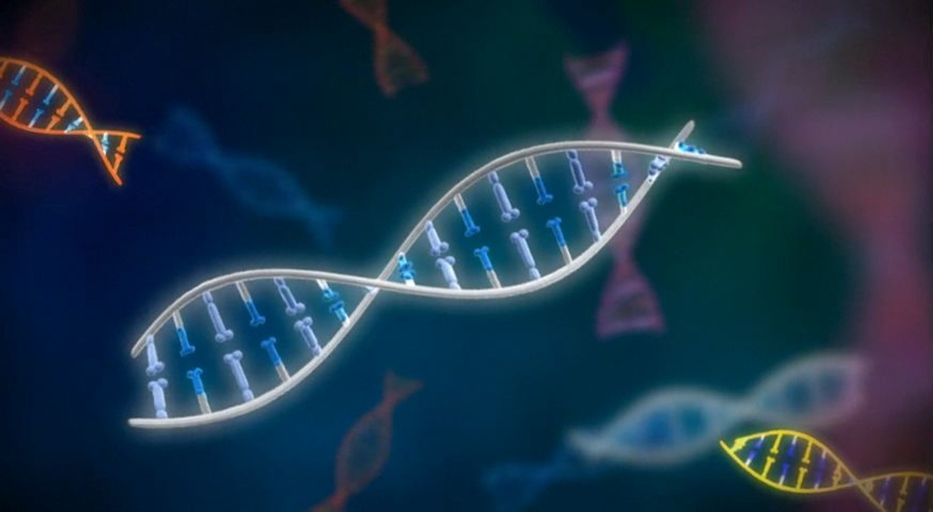 3D Dna Modeled - TurboSquid 1346328