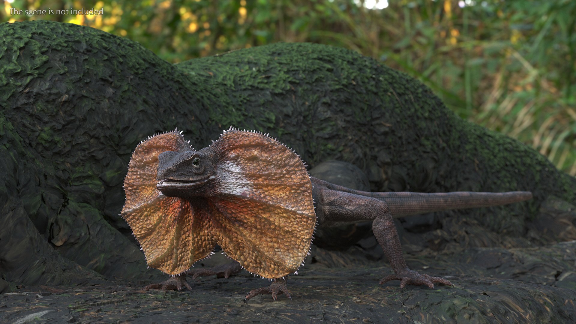 3D Frillneck Lizard Rigged Model - TurboSquid 2265947