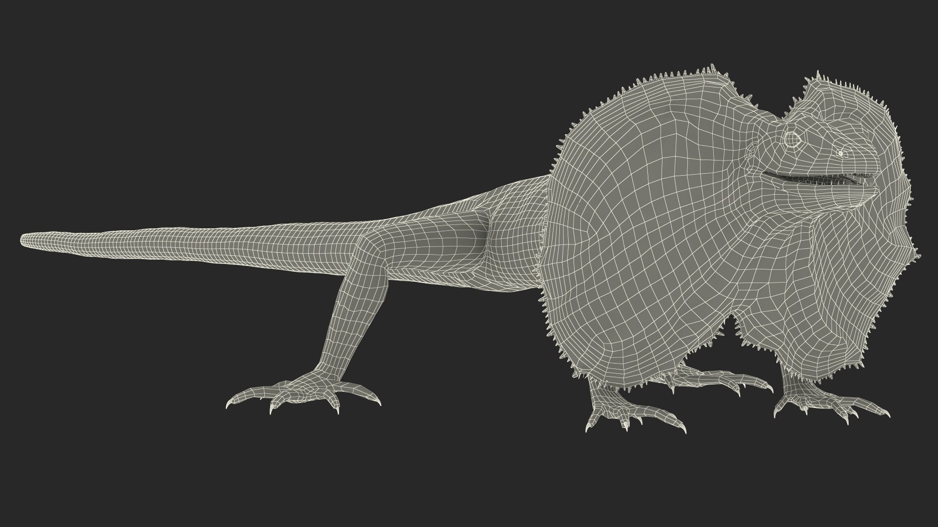 3D Frillneck Lizard Rigged Model - TurboSquid 2265947